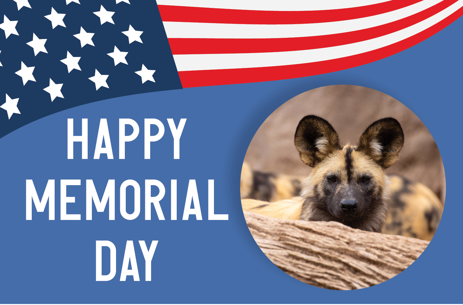 2022 Memorial Day Military Appreciation Discount Reid Park Zoo